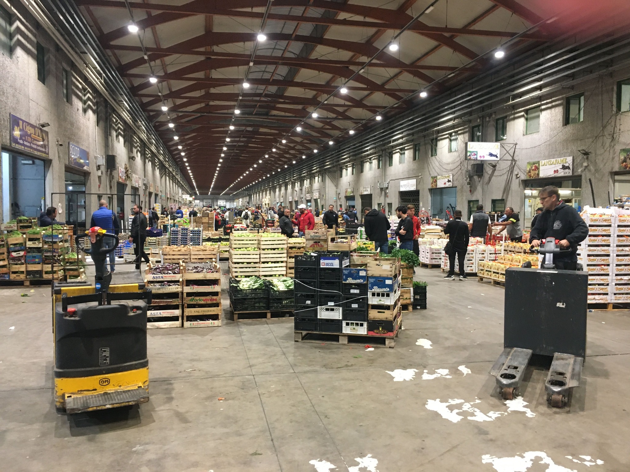 IL MAAS PRESENTA CINQUE PROGETTI PER OTTENERE I FINANZIAMENTI DEL PNRR ...